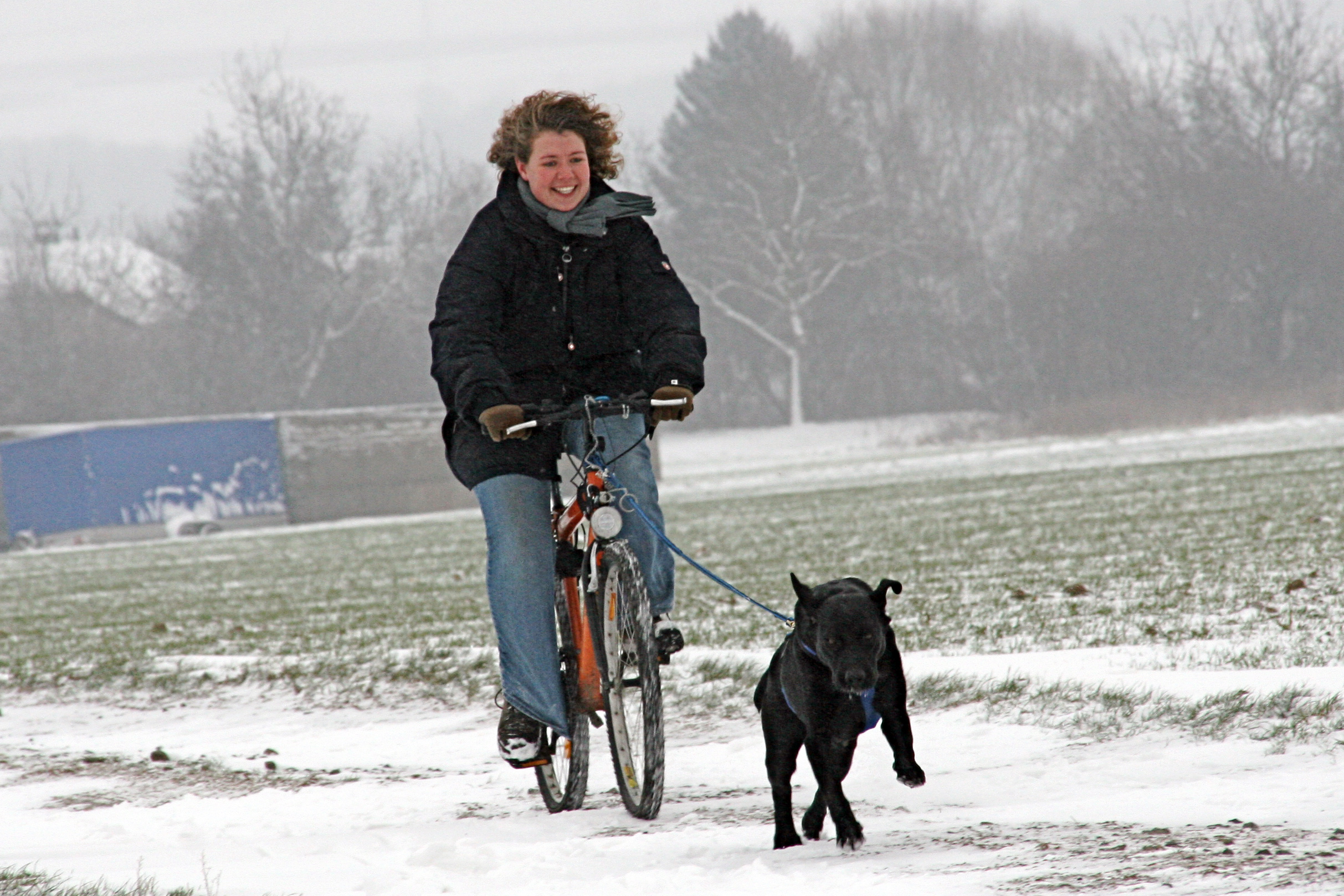 Bikejöring – der Sport für (fast) Jederhund